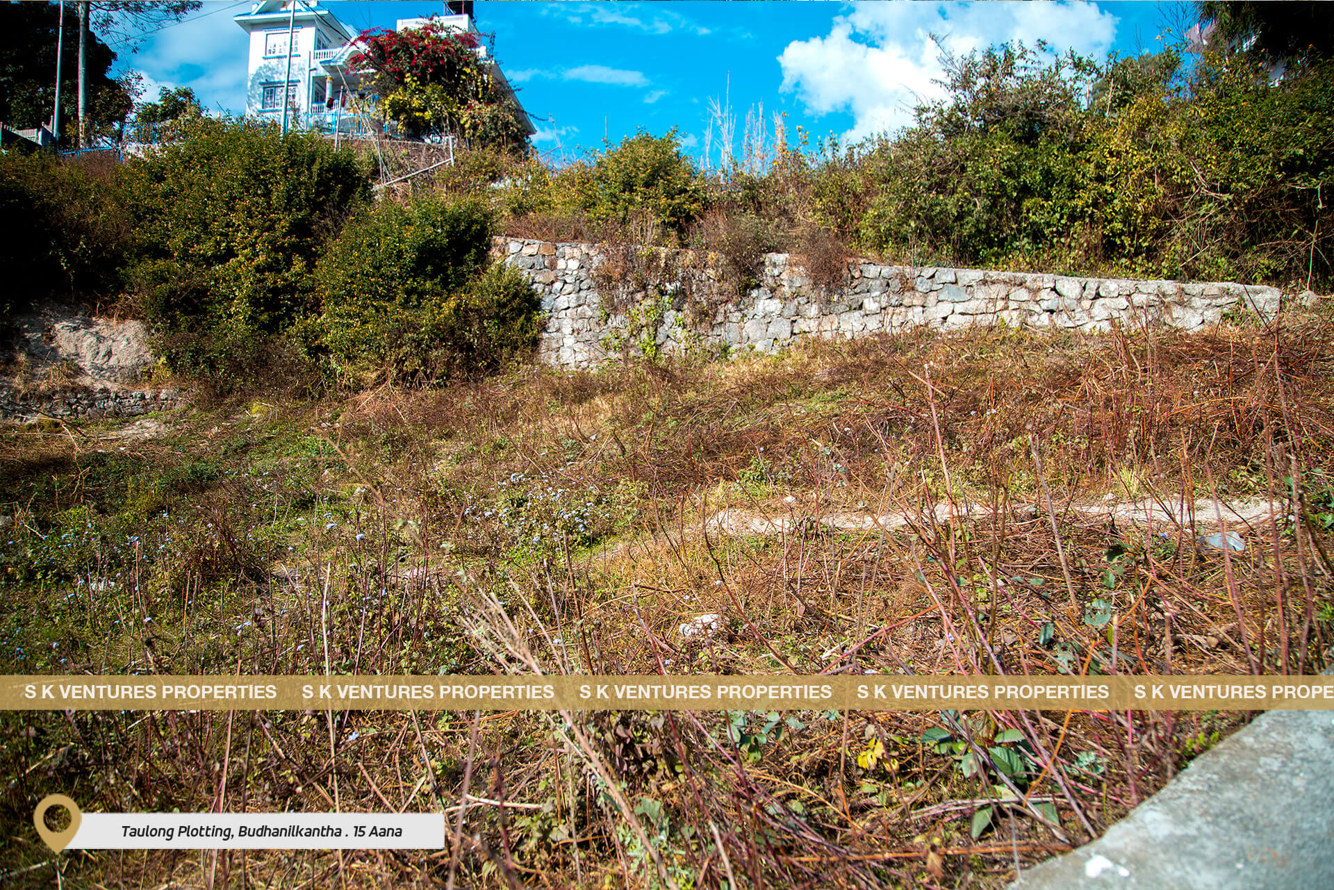 Plot Archive - SK Ventures