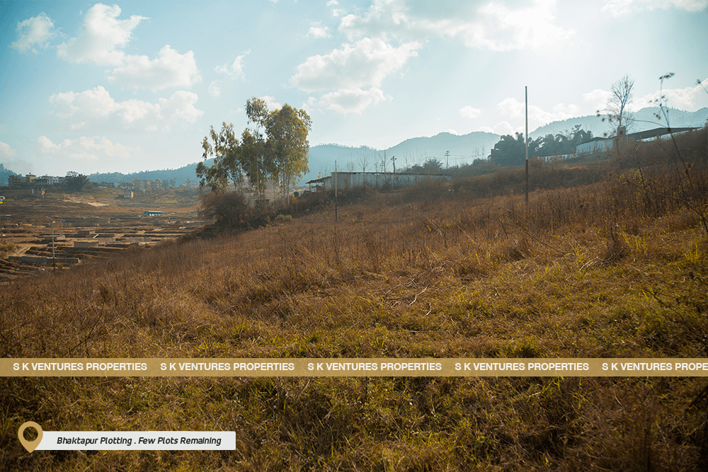 Plot Archive - SK Ventures