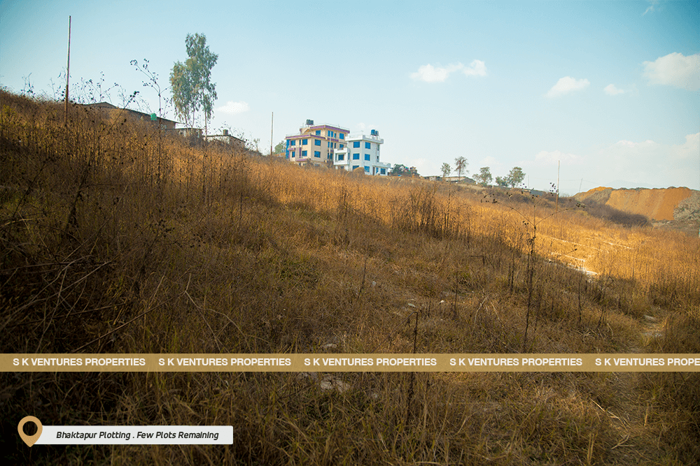 Plot Archive - SK Ventures