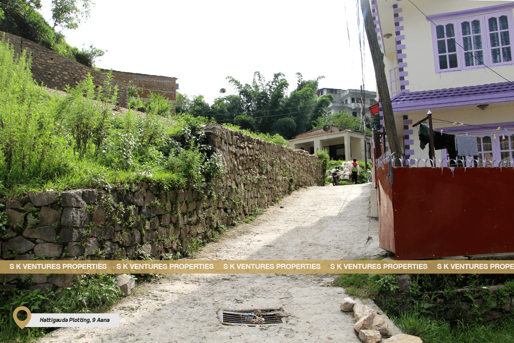 Plot Archive - SK Ventures